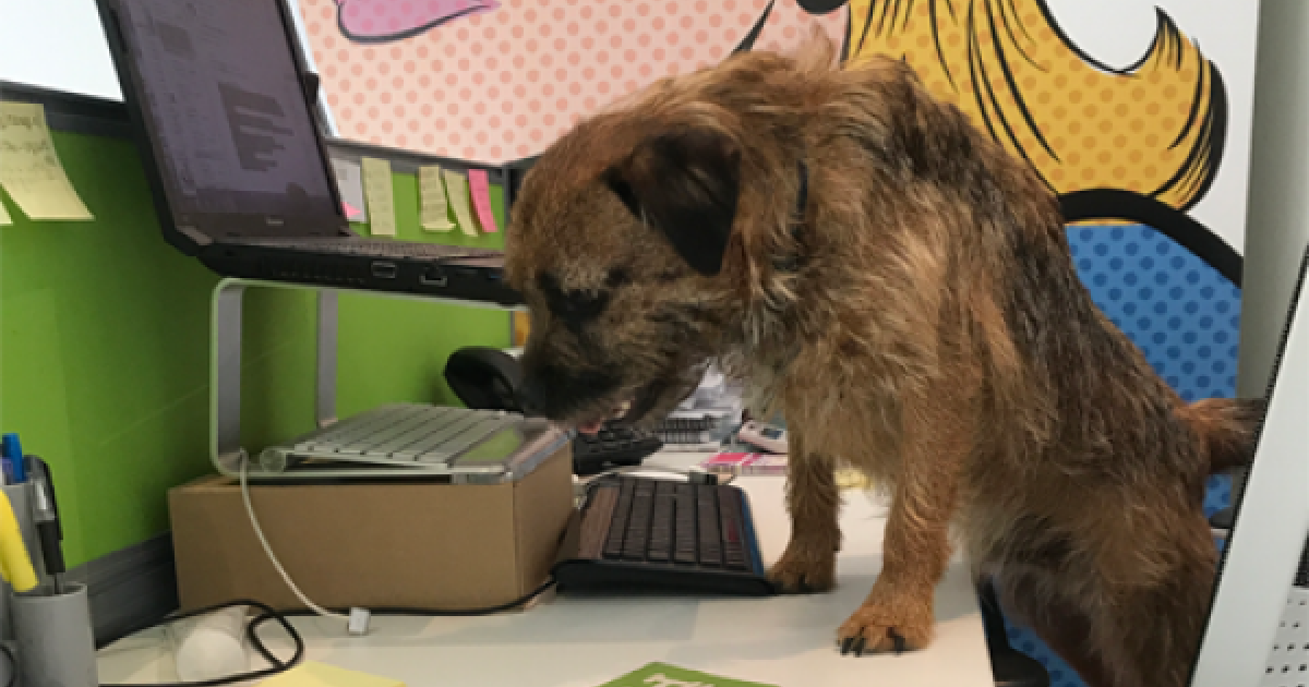 Meet the chief disrupter at Skout PR | PRmoment.com